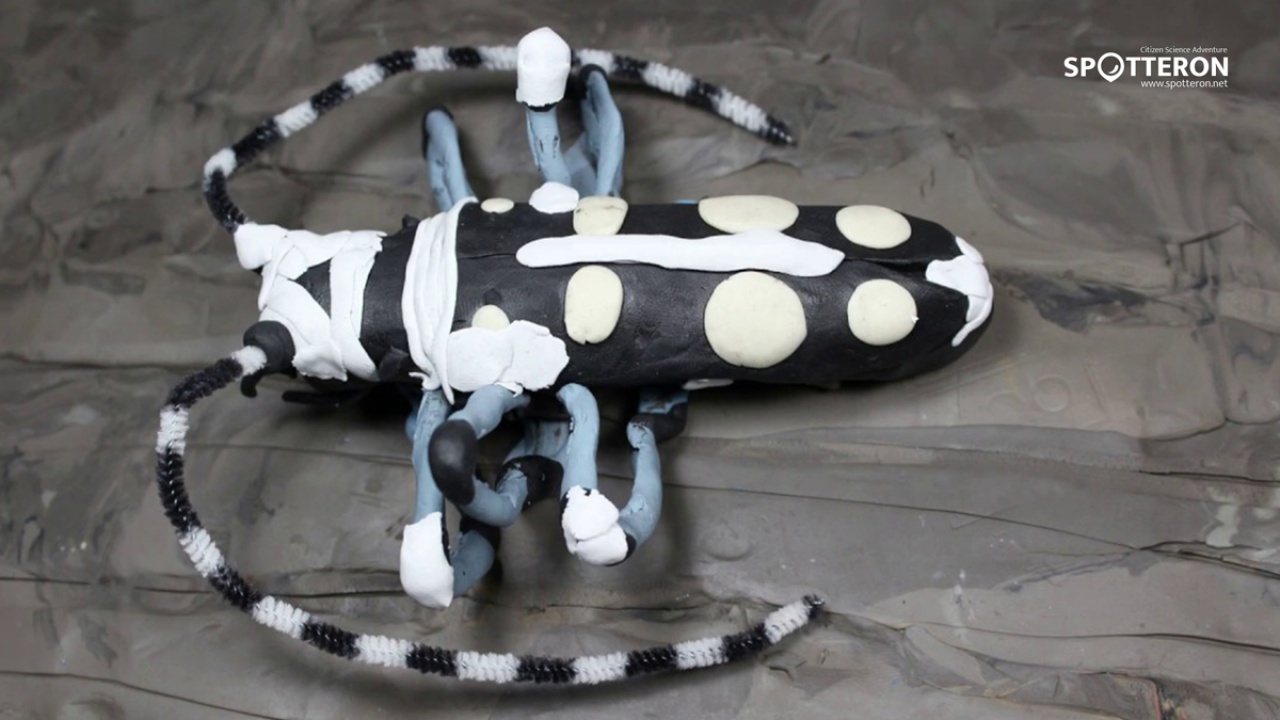 Science Meets Art - An Interview with Max Helmberger - SPOTTERON ...