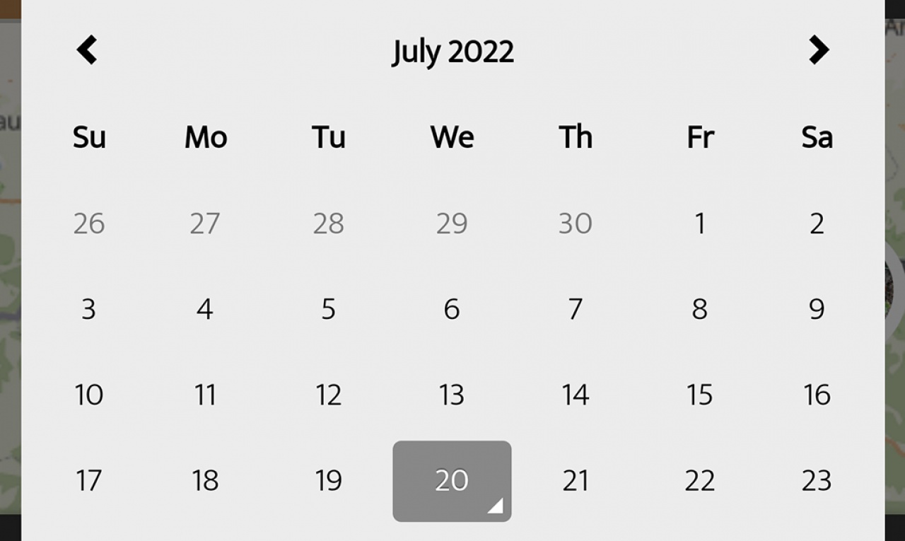 Date Fields - SPOTTERON Citizen Science